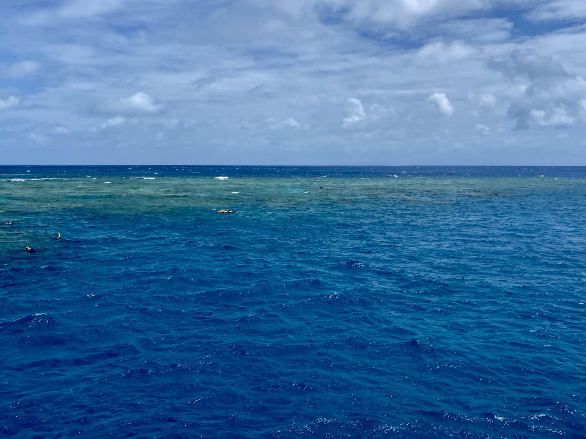 A Week in North Queensland | Australia | Just Muddling Through Life